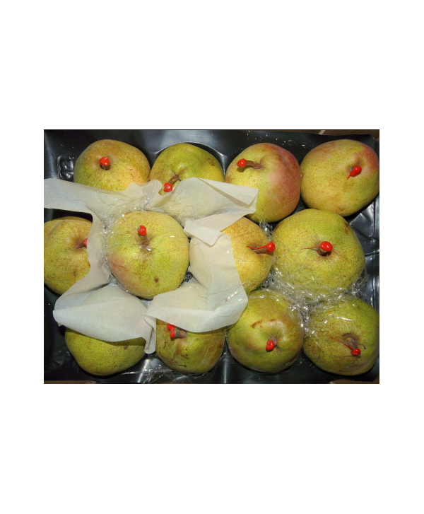 Union Fruit s.r.l.